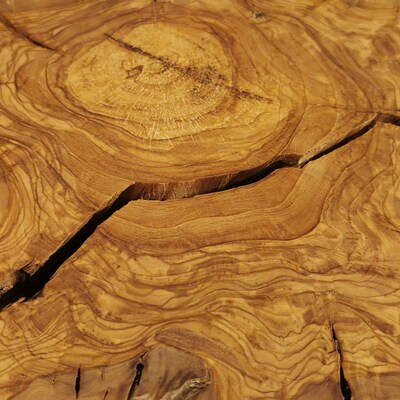 26-20 Inch Live Edge Olive Root Slices.olive Tree Root Slice.raw ...