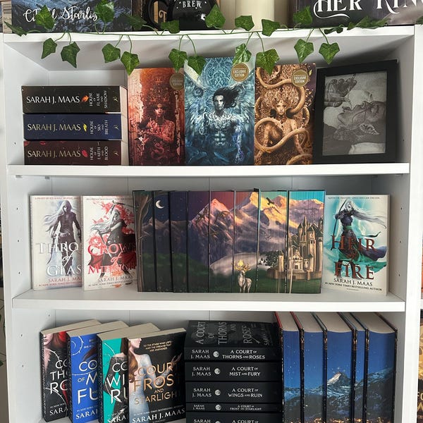 Ruhn Danaan Crescent City 16x20” Fine Art Giclee Print Gift SJM Fanart ...