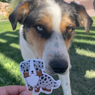 Gestroi Isopod Roly Poly Insect Bug Keychain Cartoon Chibi - Etsy