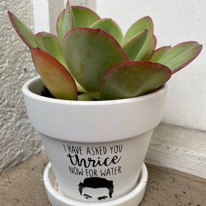 Aloe Govna Funny Plant Pot Plant Pun Plant Holder Funny - Etsy