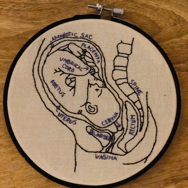 DIY Pregnancy Anatomy Embroidery, Fetus in Utero Pattern, PDF Digital ...