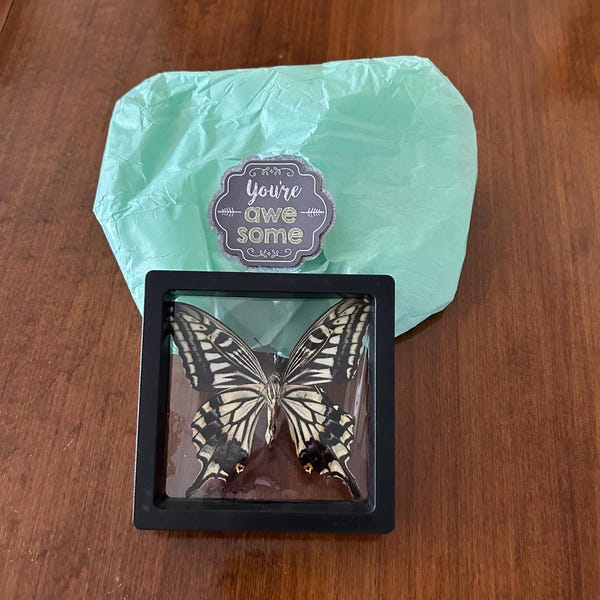 Square Floating Frames - Etsy