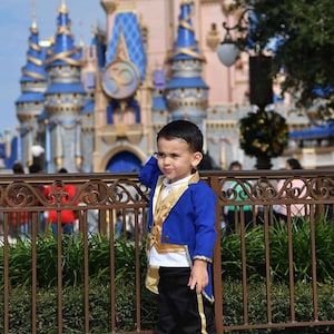 Adult Circus Ringmaster Tailcoat Jacket Costume New Years, Photo Prop ...