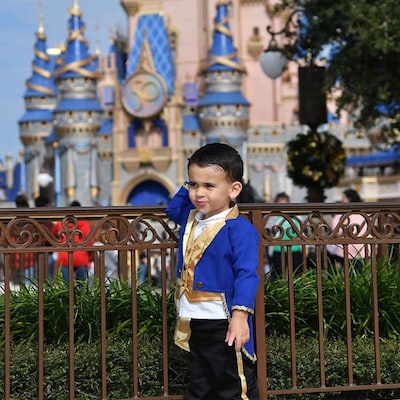 Beast Costume BLUE Tuxedo Jacket Prince Costume Tailcoat Beauty and the ...
