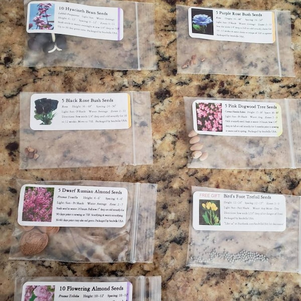 10 Ruby Moon HYACINTH BEAN Lablab Purpureus Blue Purple White Flower ...