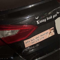 Student Driver Sad Hamster Car Bumper Sticker Crying Funny Cute Pink ...
