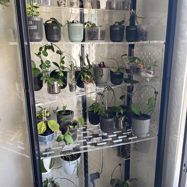 V2** Milsbo Tall 11 Piece Acrylic Shelf Set for Ikea Greenhouse Cabinet ...