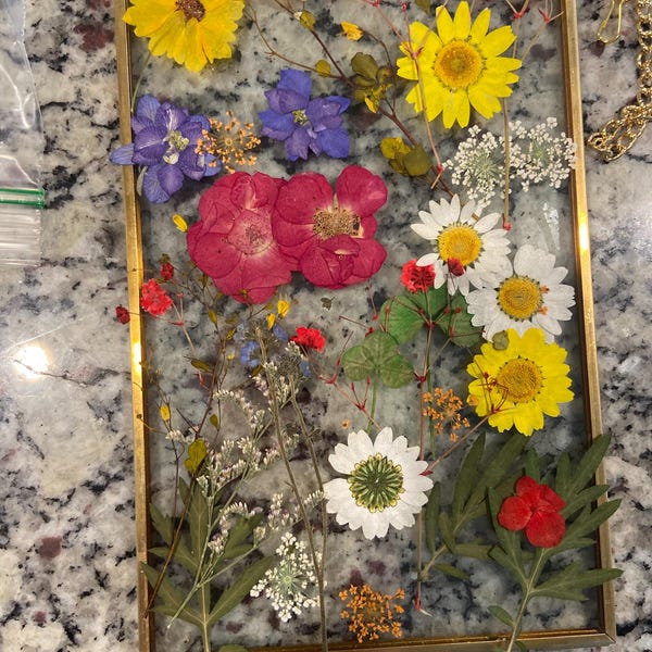 DIY Pressed Flower Frame Art Kit: Make Your Own Herbarium Art Floating ...