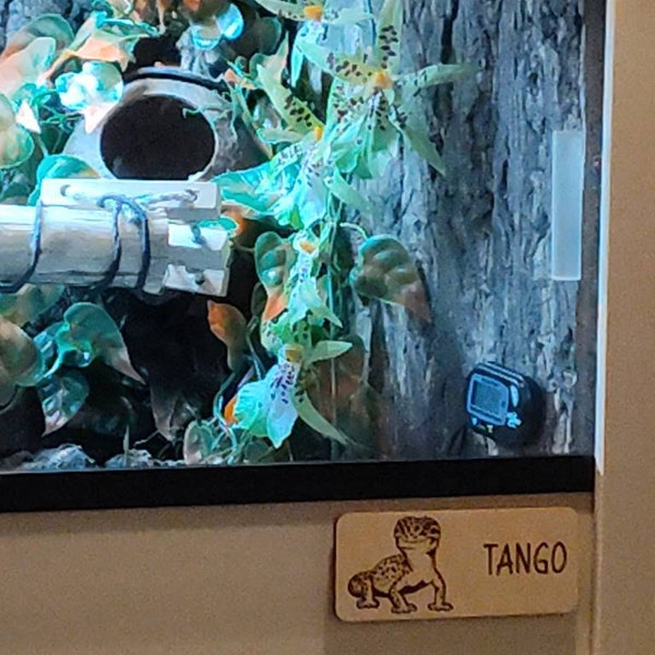 Leopard Gecko Tank Decor, Leopard Gecko Accessories, Leopard Gecko Tank ...