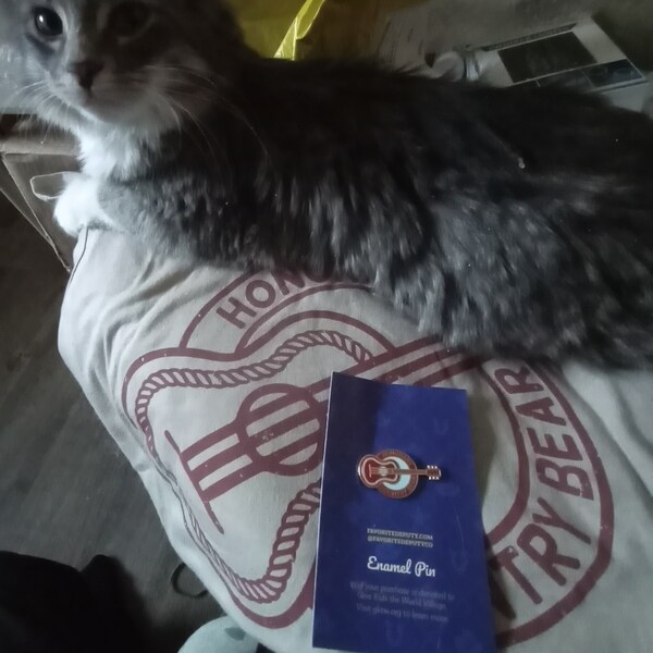 Pixel Disney Orange Bird Hard Enamel Pin - Give Kids the World ...