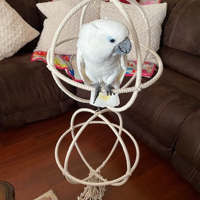 Extra Large Parrot 3 Ring Orbit Swing - Etsy