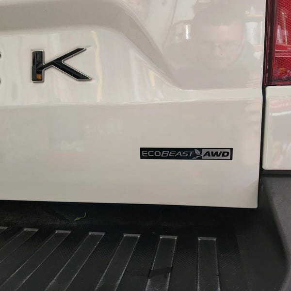 Gel Coated (domed) FORD ECOBEAST Emblem Overlays Ecoboost Eco Boost ...
