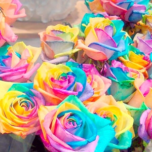 KERMIT the FROG W/ Fishing Rod Bernardaud Limoges Trinket | Etsy