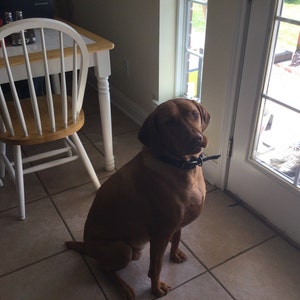 Emoji Emoticon Address Labels Stickers, 30 Personalized Labels - Etsy