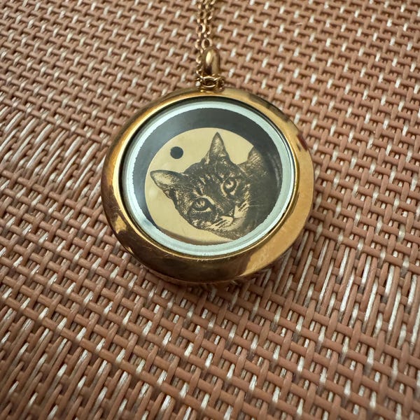 Custom Pet Fur Necklace • Pet Fur Locket Necklace • Dog Hair Memorial ...
