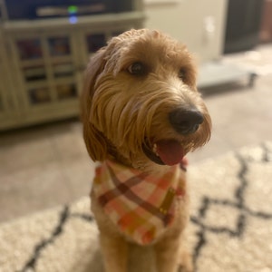 Huckleberry Dog Bandana summer, Spring, Rustic, Flowers, Floral, Summer ...