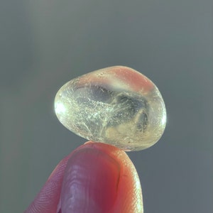 Rare Hemipristis Serra Serrated Shark Tooth Fossil Chalk, Cretaceous ...