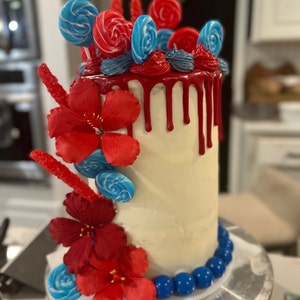 Chefmaster Color Wheel - Etsy