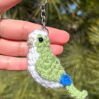 Red-bellied Woodpecker Written Crochet Pattern Realistic Garden Bird ...