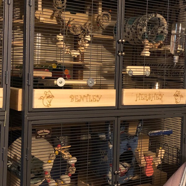 Ultimate Chew Toy Collection. Whimsy's Menagerie Original Design Chew ...