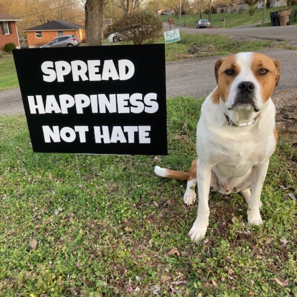 Thank You Governor Whitmer Yard Sign - Etsy