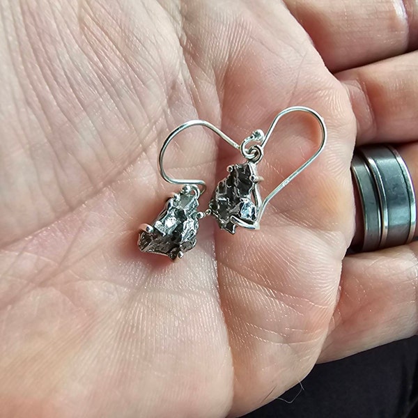 EARRINGS - Bear CLAW - TURQUOISE - Bezel Set - Fish Hook - Sterling ...