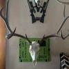 Euro Hanger - Etsy