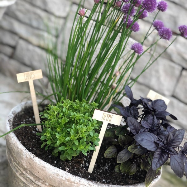 Set of Plant Markers | Potted Plant Sign | Herb Marker | Plant Stake ...