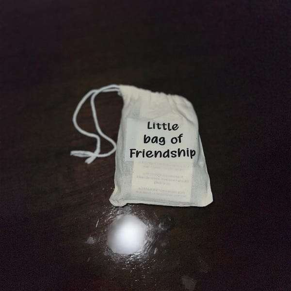 Little Bag of Friendship, Small Gift, BFF Gift, Bestie, Party Favor ...