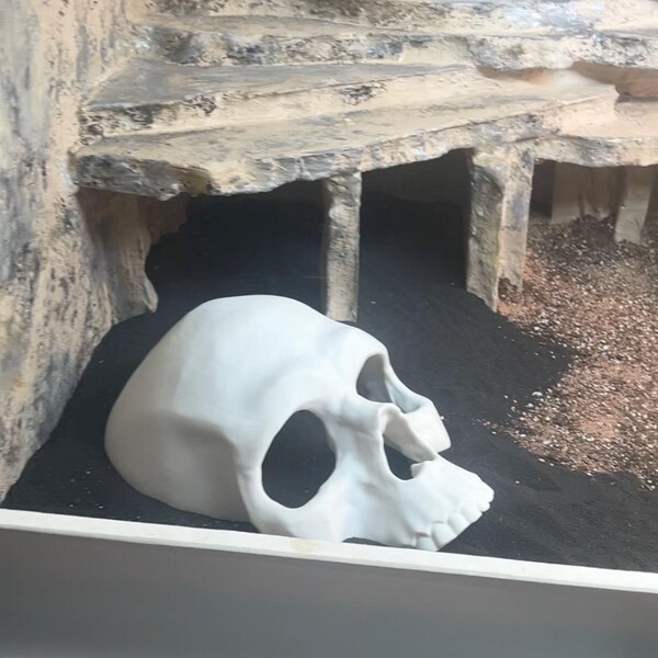 High Detail Human Skull Container Goth Storage Solution Skull Box Full ...