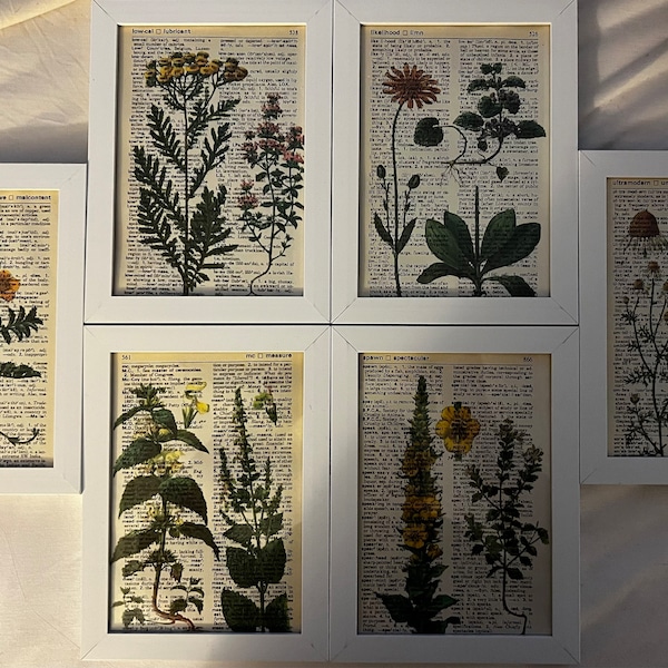 Botanical Floral Themed Dictionary - Etsy