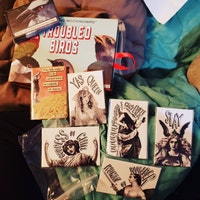 Troubled Bird Postcard Set of 50 Birds Animal Mincing Mockingbird - Etsy