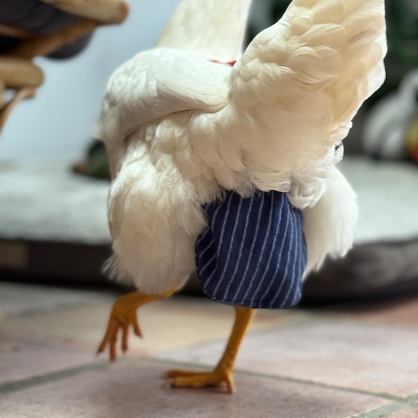 Chicken Diaper Sewing Pattern: Three Sizes S-M-L (PDF Pattern) - Etsy