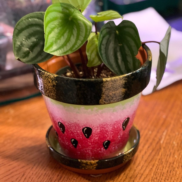 Hand Painted Terra Cotta Watermelon Pot and Matching Saucer - Etsy