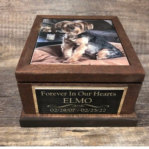 Trash Talker Trophy Award Galvanized Garbage Can Take Out the | Etsy