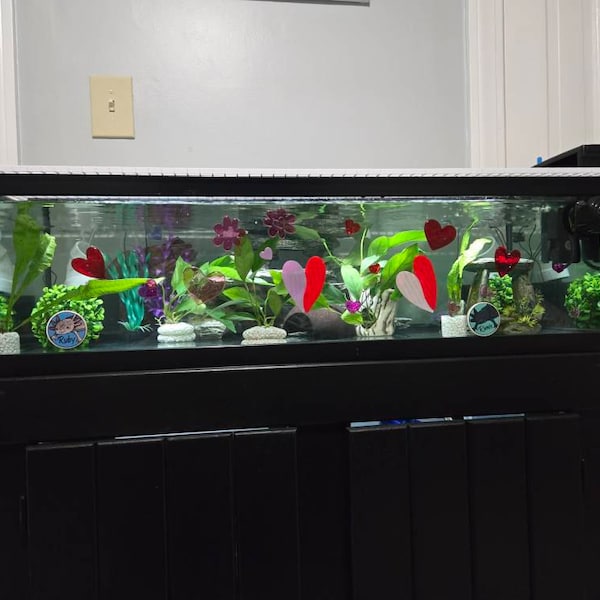 Aquarium Plant Holder (stacked Stones) - Etsy