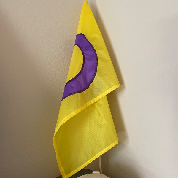 Custom Mini Hand Flag Pride Flags - Queer Made, Handmade - Gay, Lesbian ...