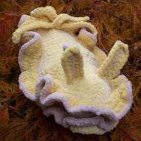 Nudibranchs Sea Slugs Set 1 Crochet Pattern by Crafty Intentions ...