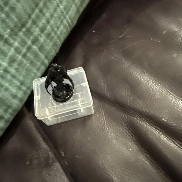 Dnd Crystal Tropical Plant Miniatures Wargaming Terrain | 28mm or 32mm ...