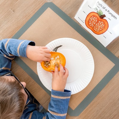 Pumpkin Mini Unit Study - Etsy