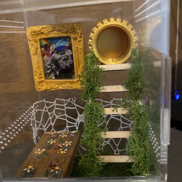 Disco Boho Garden Jumping Spider Enclosure Mini Spider Terrarium, Vintage-inspired Acrylic ...