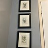 GIFT SET: Set of 3 Cannabis Botanical Prints, Vintage Cannabis Art ...