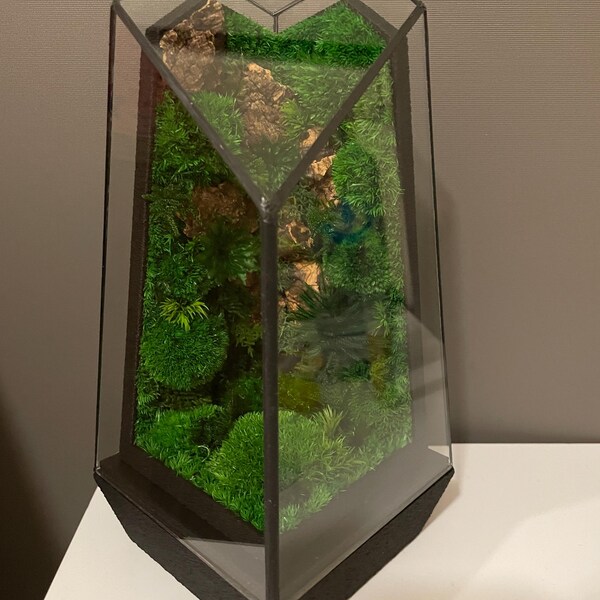 Cryomoss Live Moss Terrarium: the Vertex II (S) - Elegant & Modular ...