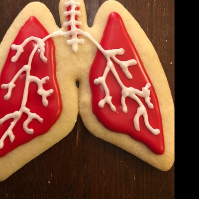 Anatomical Lungs Cookie Cutter, 3.75 X 3.5 Medical Cookie Cutter, Lung ...