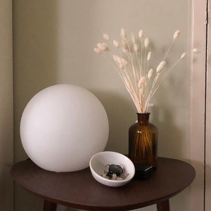 Bunny Tails White Lagurus 15g Dried Flower White Floral Arrangement ...