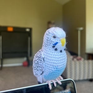 Blue White Budgie Stuffed Animal Realistic Parakeet Plush Crochet ...
