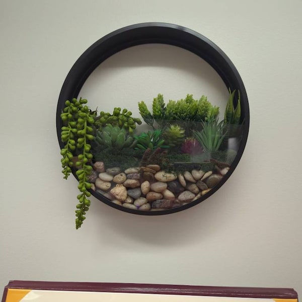 Wall Terrarium Kit - Etsy