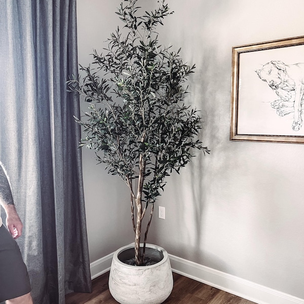 8' Shady Lady Black Olive Tree, Black Olive Tree, Shady Lady Tree, Faux ...
