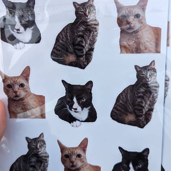 Hippo Sticker Sheet - Etsy