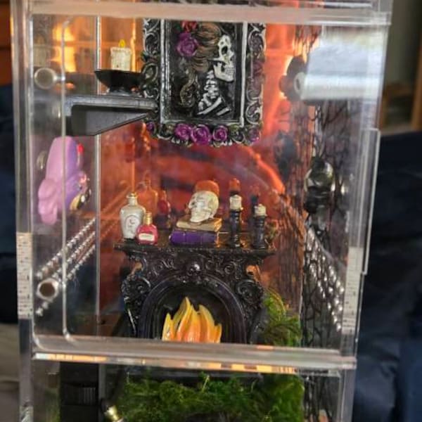 4x4x6 Decorated Jumping Spider Enclosure Alien Glow in the Dark *MADE ...